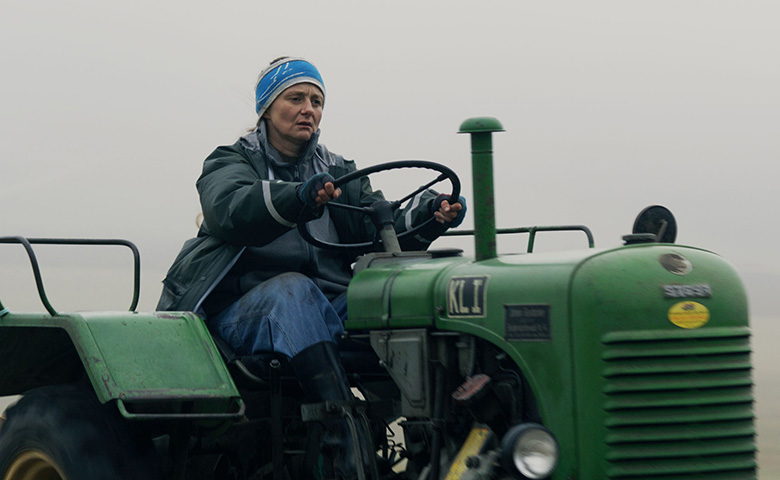 Wald (Film) online mieten/kaufen - Streamen auf WatchAUT
